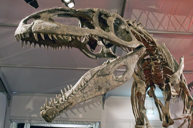 The Largest Carnivorous Dinosaur – Bigger Than a T. Rex – Extreme ...