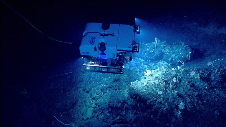 The Fish That Can Create Light in the Deep Ocean – Extreme Animal Records