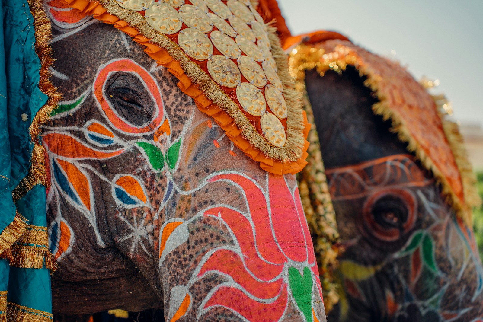 How the Biggest Elephant in History Stacks Up Against Modern Giants ...
