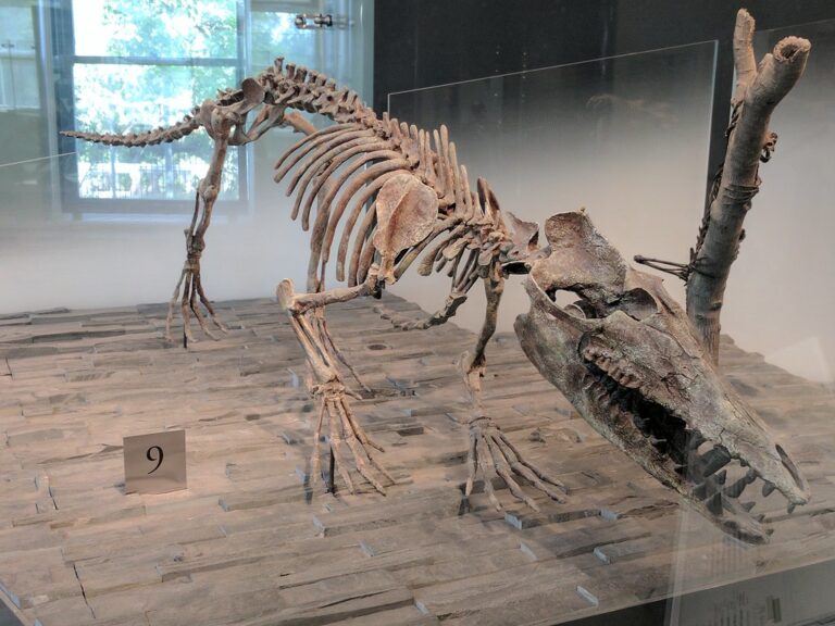 The First Whales Had Legs—and Walked on Land Before Returning to the ...