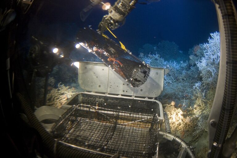 The Ocean Creature That Can Survive in the Harshest Underwater ...