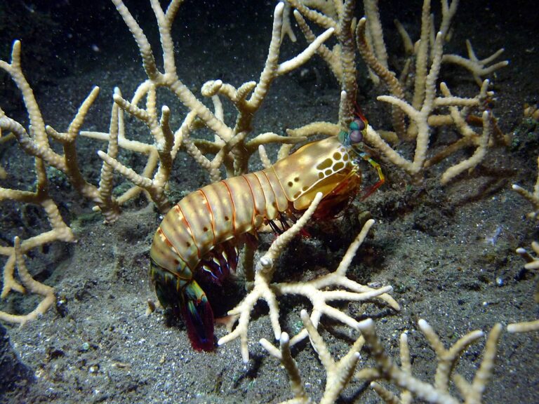 The Fastest Strike Ever Recorded in the Animal Kingdom Showcasing a ...