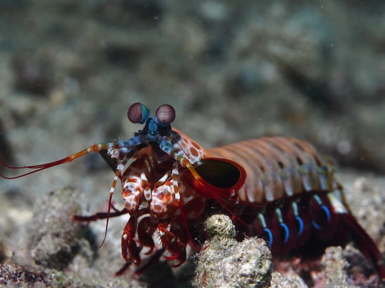 The Fastest Strike Ever Recorded in the Animal Kingdom Showcasing a ...
