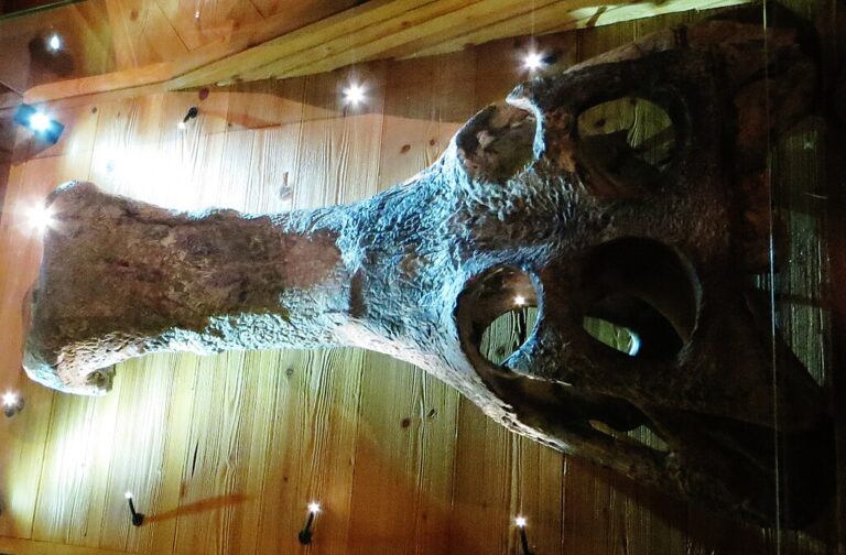 This Prehistoric Crocodile Hunted Dinosaurs and Grew Over 30 Feet Long ...
