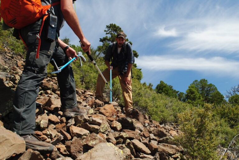 Meet the Tenrec: The Mammal That Can Hibernate for Nine Months Straight – Extreme Animal Records