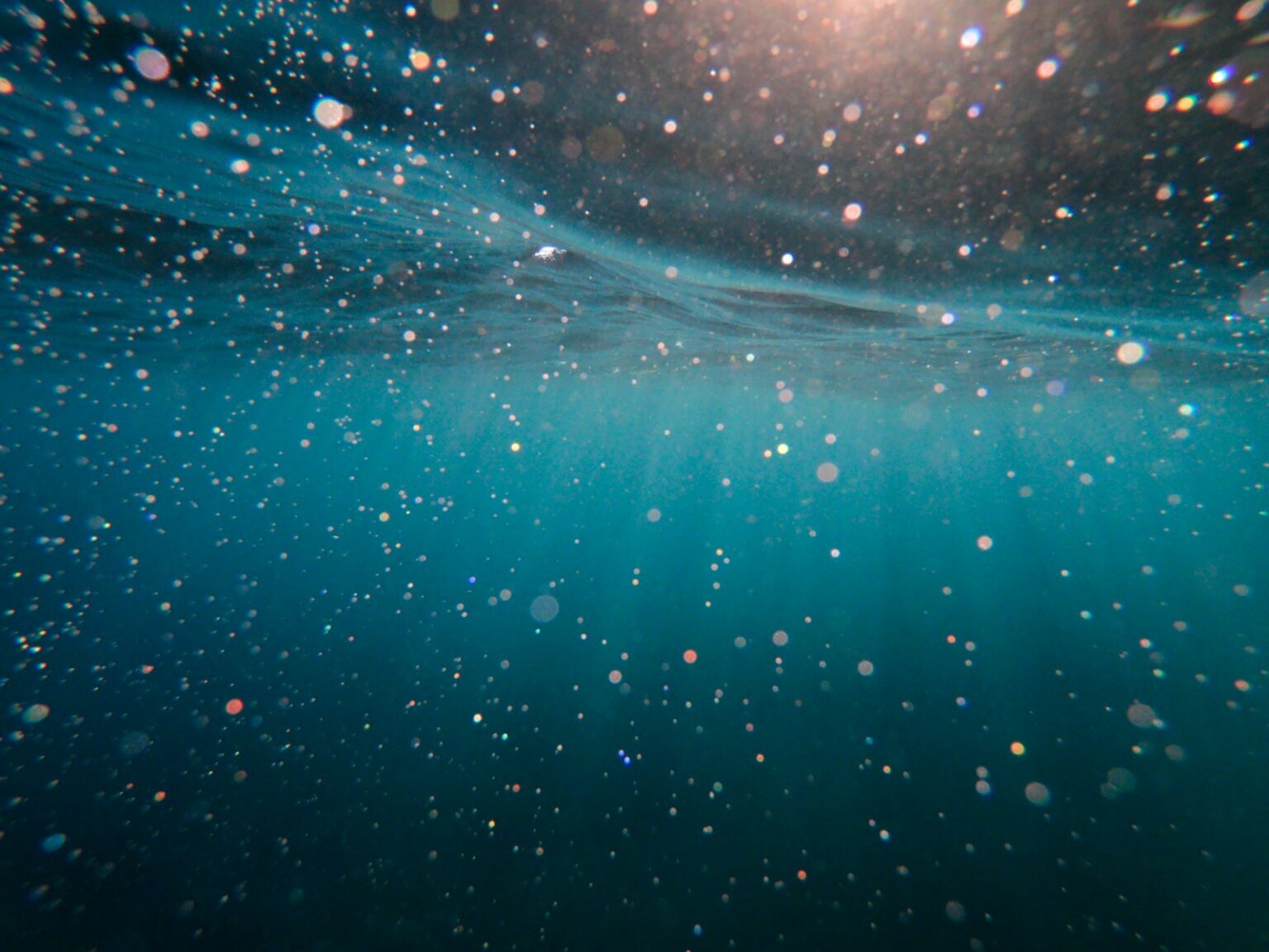 The Fish That Can Create Light in the Deep Ocean – Extreme Animal Records