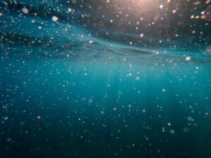 The Fish That Can Create Light in the Deep Ocean – Extreme Animal Records