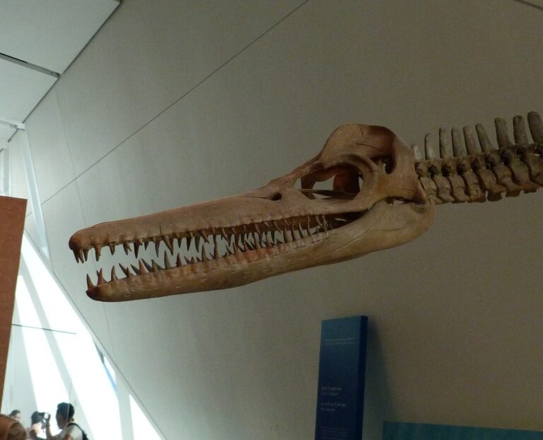 Pliosaurs Had the Strongest Bite of Any Animal in Prehistory – Extreme ...