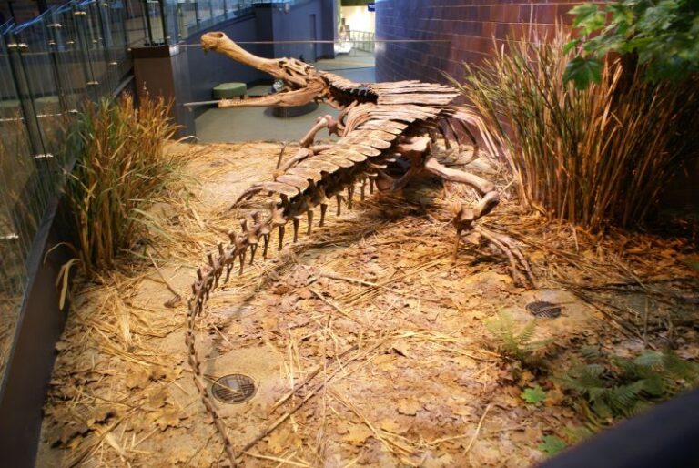 This Prehistoric Crocodile Hunted Dinosaurs and Grew Over 30 Feet Long ...
