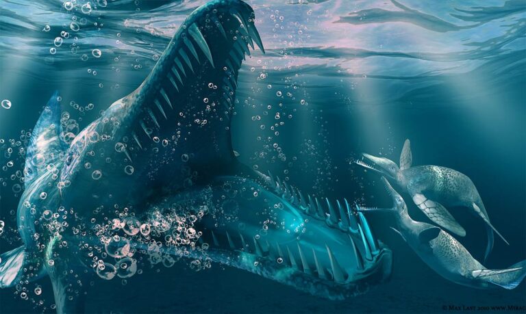Pliosaurs Had the Strongest Bite of Any Animal in Prehistory – Extreme ...