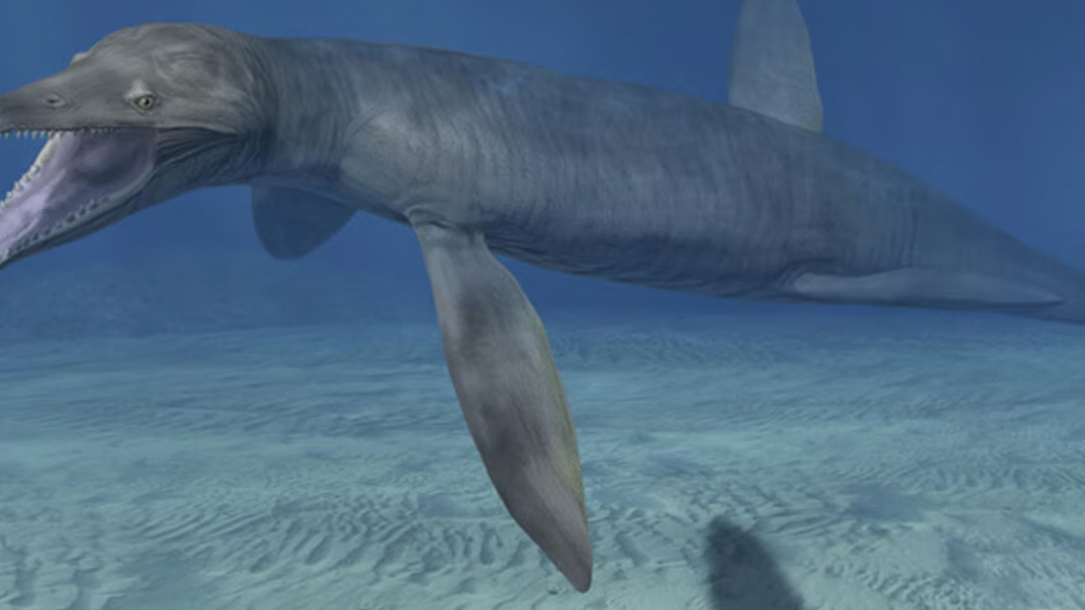 Pliosaurs Had the Strongest Bite of Any Animal in Prehistory – Extreme ...