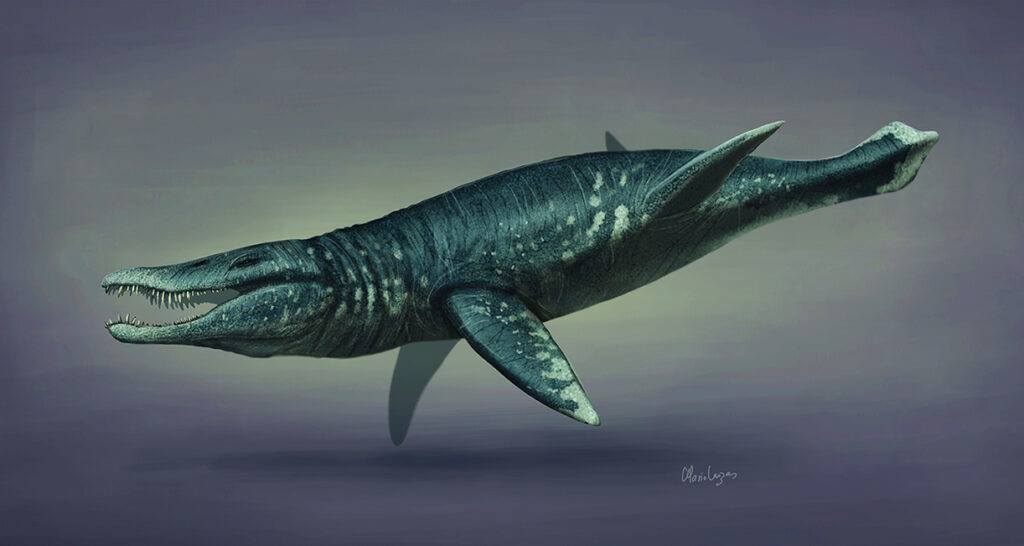 Pliosaurs Had the Strongest Bite of Any Animal in Prehistory – Extreme ...