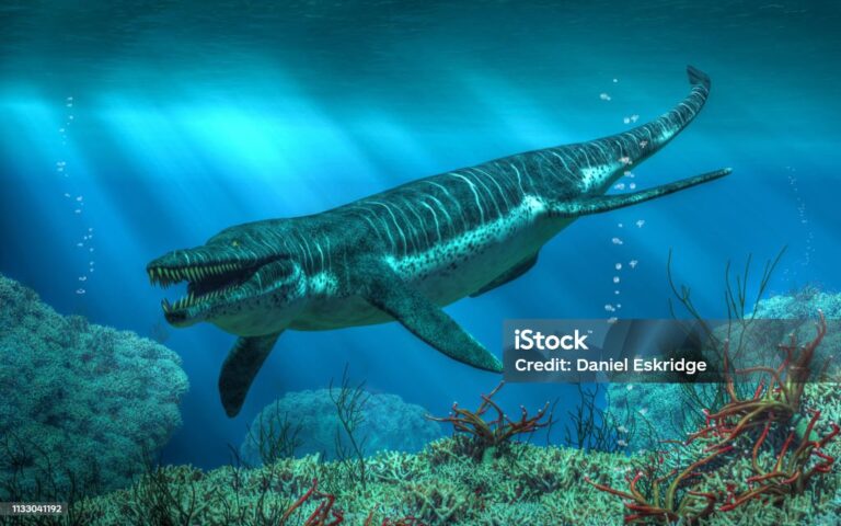 Pliosaurs Had the Strongest Bite of Any Animal in Prehistory – Extreme ...