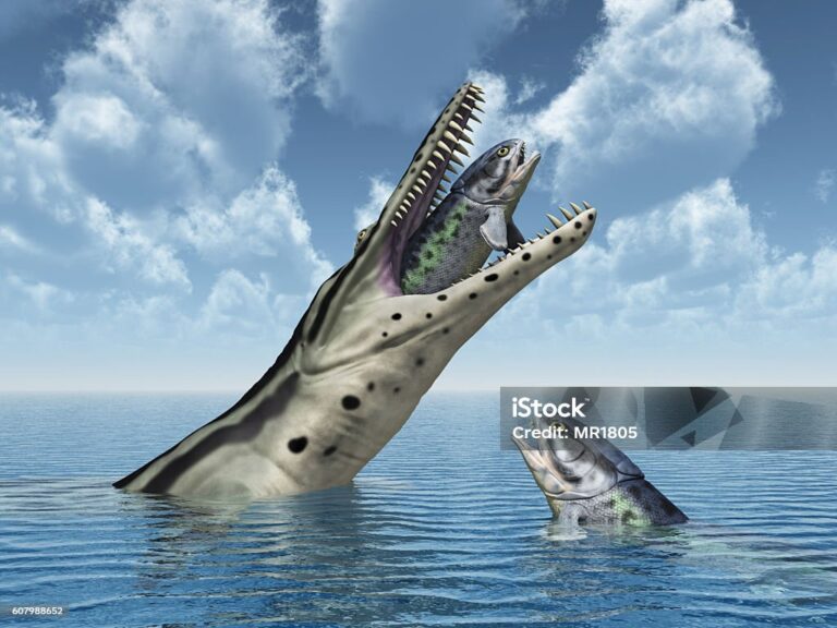 Pliosaurs Had the Strongest Bite of Any Animal in Prehistory – Extreme ...