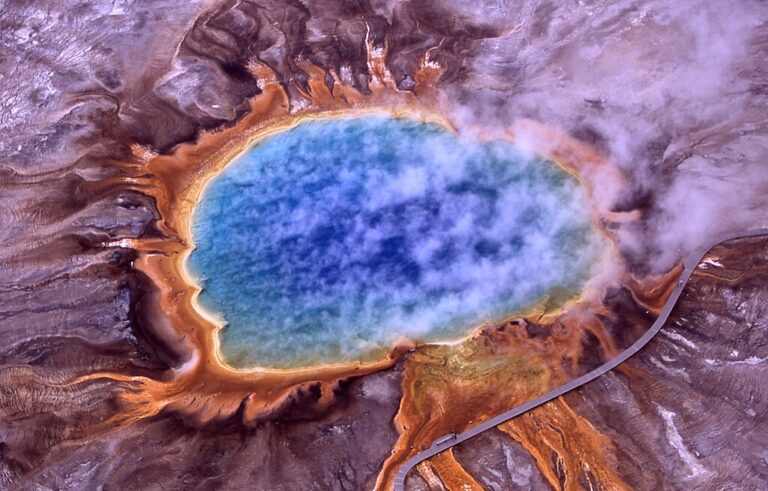 14 Creatures That Can Survive Space, Radiation, or Boiling Acid ...
