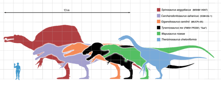 Therizinosaurus Had Giant Claws but Ate Plants—Probably – Extreme ...