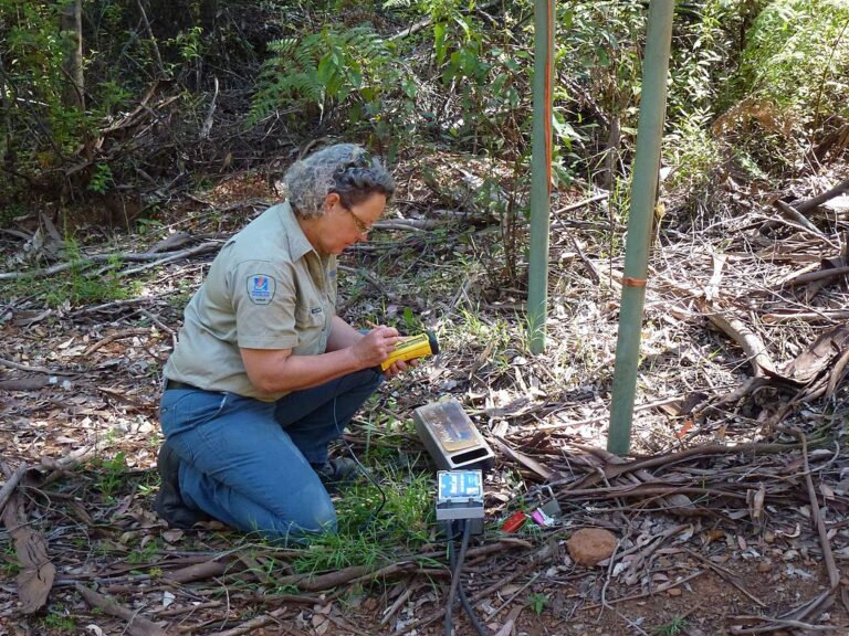 Meet the Saola: One of the Rarest Mammals Ever Seen in the Wild ...