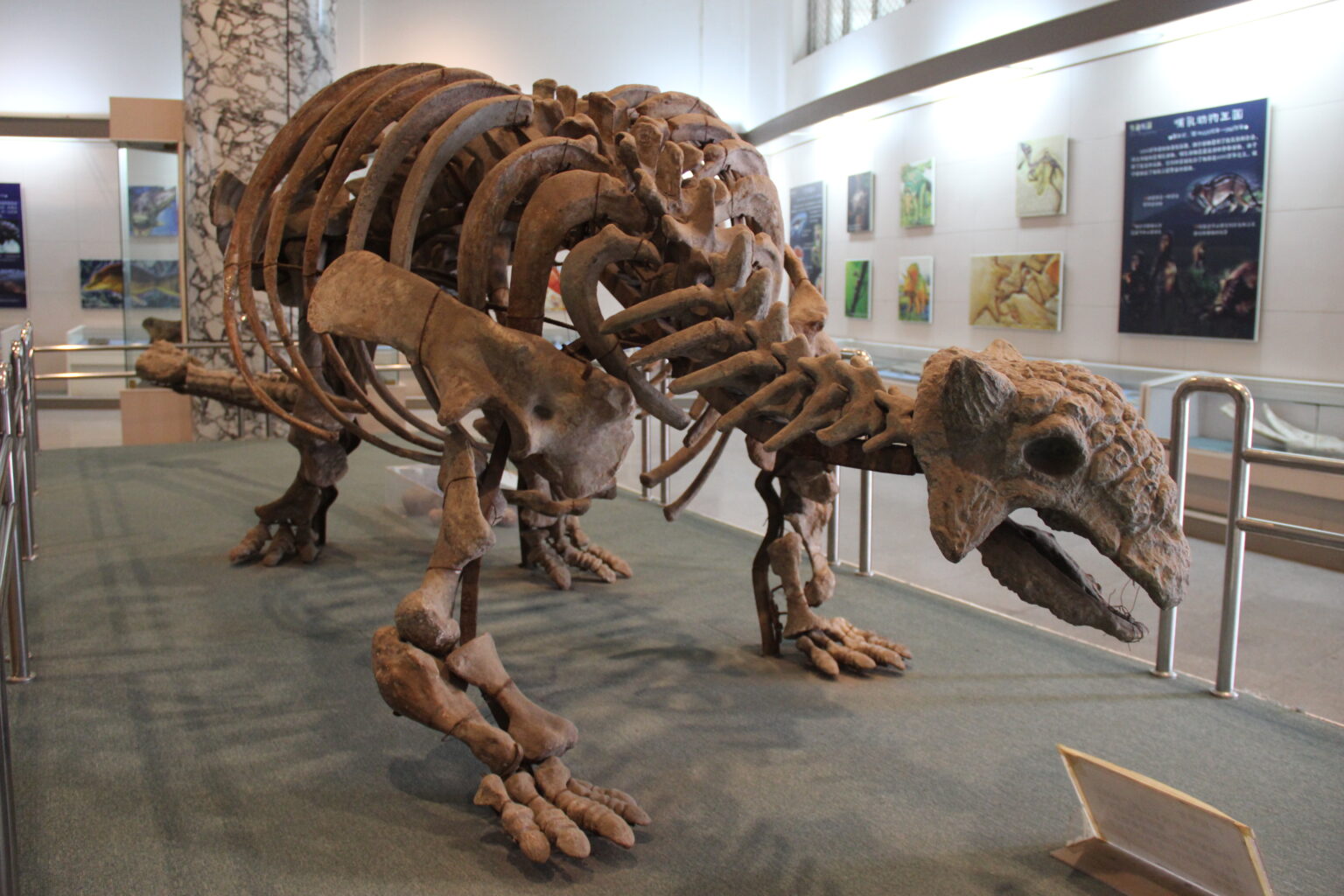The Ankylosaurus Had a Tail Club That Could Crush Bone – Extreme Animal ...