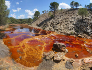 14 Creatures That Can Survive Space, Radiation, or Boiling Acid ...