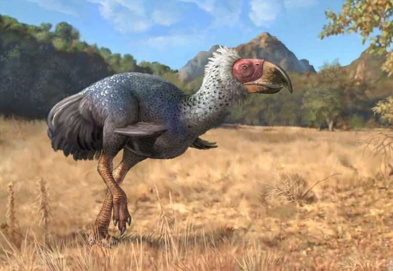 The Terror Bird Stood 10 Feet Tall—and Could Outrun a Horse – Extreme ...