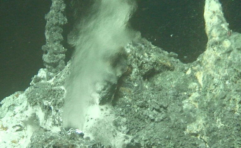 This Worm Has a Jaw Made of Metal and Can Survive Boiling Temperatures ...