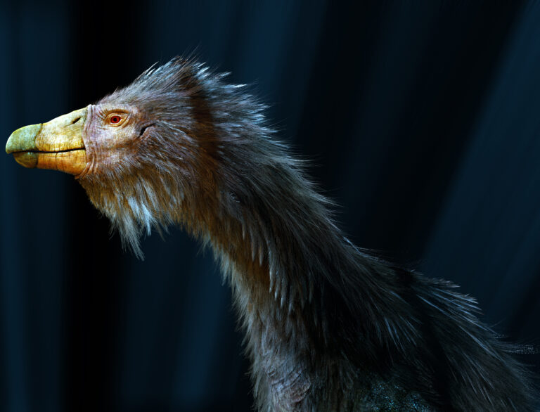 Therizinosaurus Had Giant Claws but Ate Plants—Probably – Extreme ...